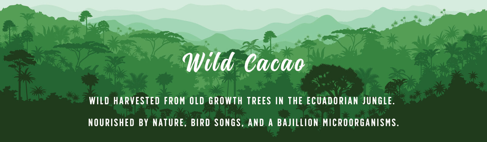 Chocolate Powered by Botanicals